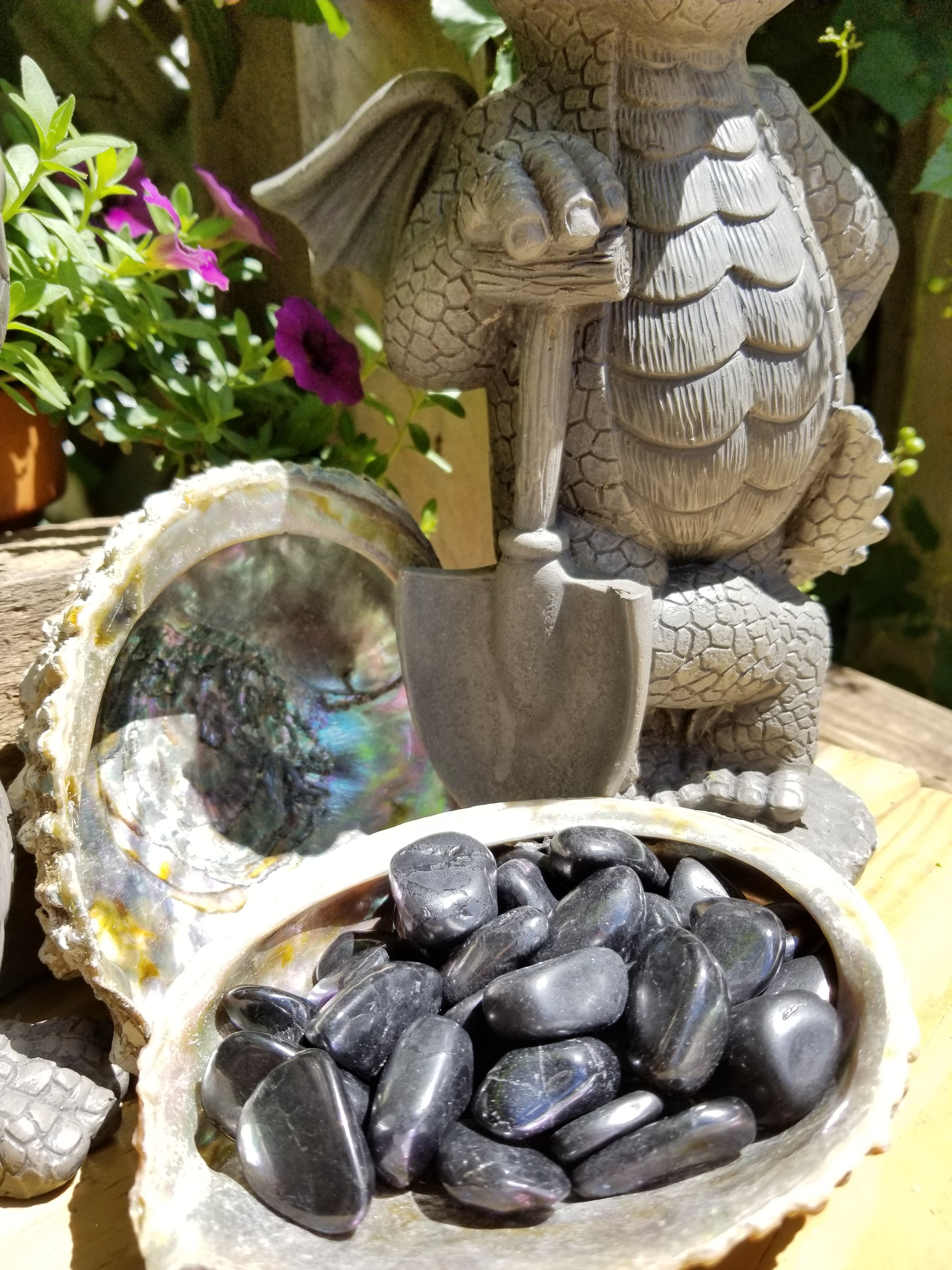 Shungite Tumbled Stone – Dragon's Den Crystals & Stones